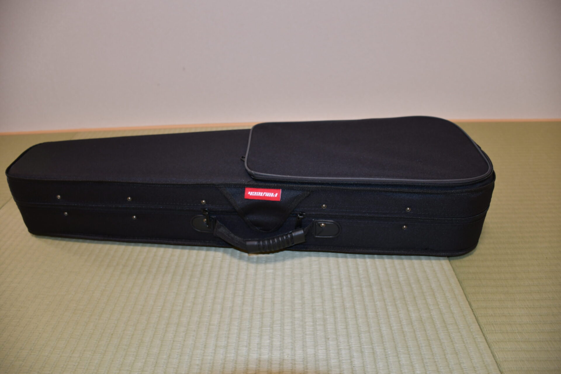 PLAYTECH PSV100BKをレビュー｜バイオリン講師が電子バイオリンを弾いてみた - エリーゼ先生のバイオリン情報