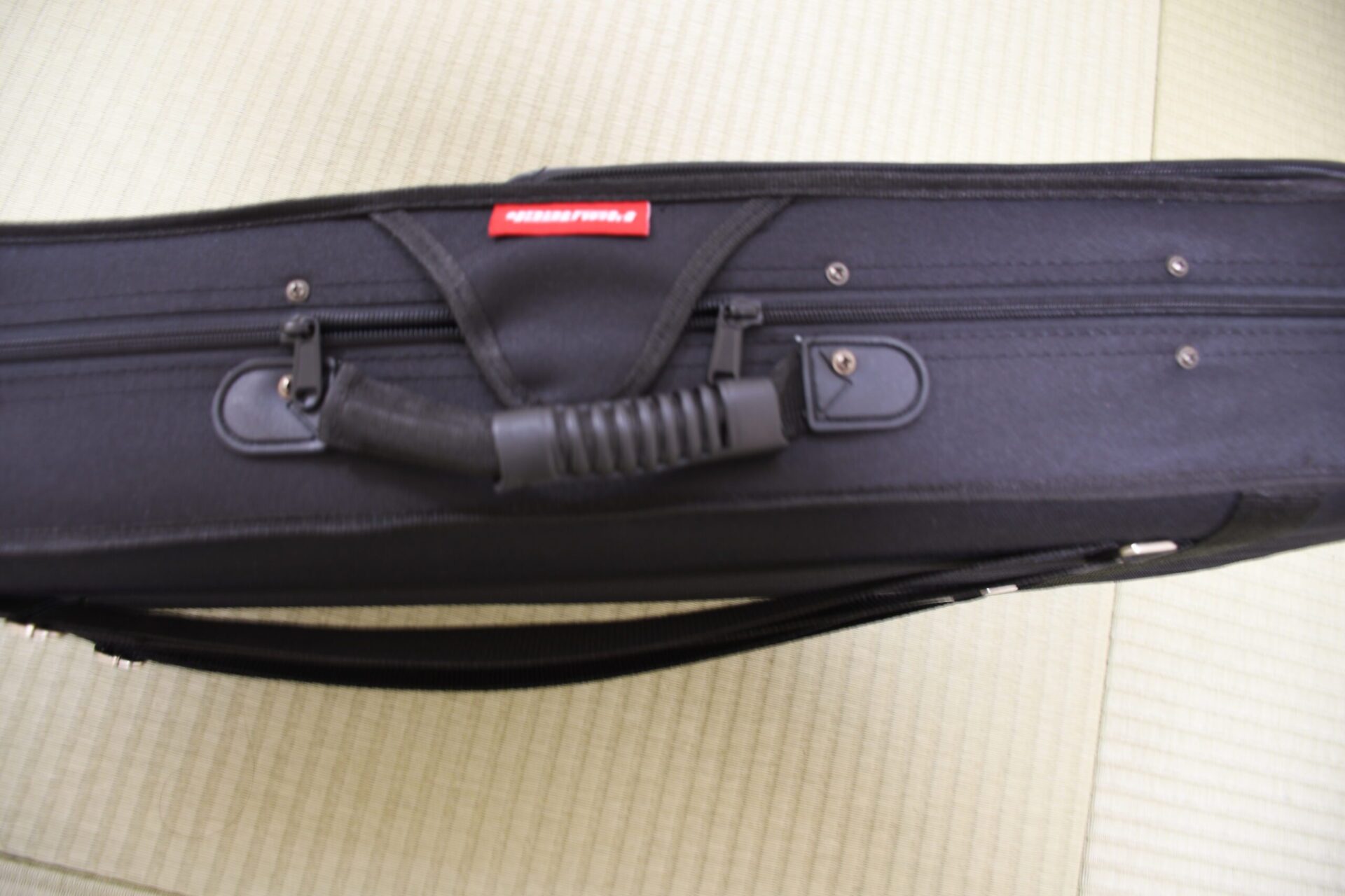 PLAYTECH PSV100BKをレビュー｜バイオリン講師が電子バイオリンを弾いてみた - エリーゼ先生のバイオリン情報